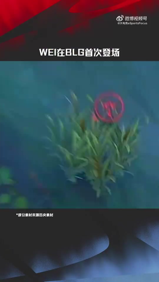 LPL高光时刻：Wei在BLG首次登场 和Bin哥的配合还可以-直播吧