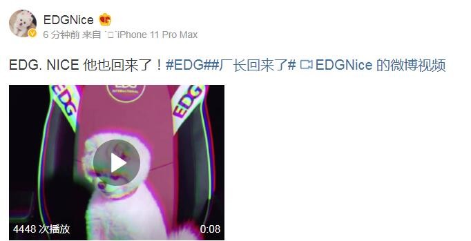 EDG开始整活—EDG队宠NICE同步复出-直播吧zhibo8.cc