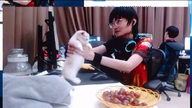 凤凰动物园新成员Lwx:昨天给猫讲了二叔S9的故事,它听的很开心-直播吧zhibo8.cc