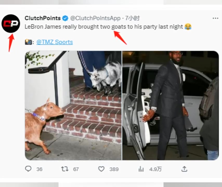 TMZ抓拍爆料：昨夜詹姆斯参加晚宴派对现场出现两只山羊😮-直播吧